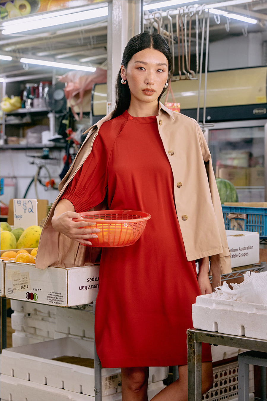 CNY 2026 Edit – GINLEE Studio